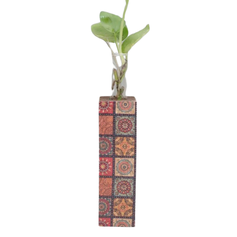 TerraBloom Cork Planter